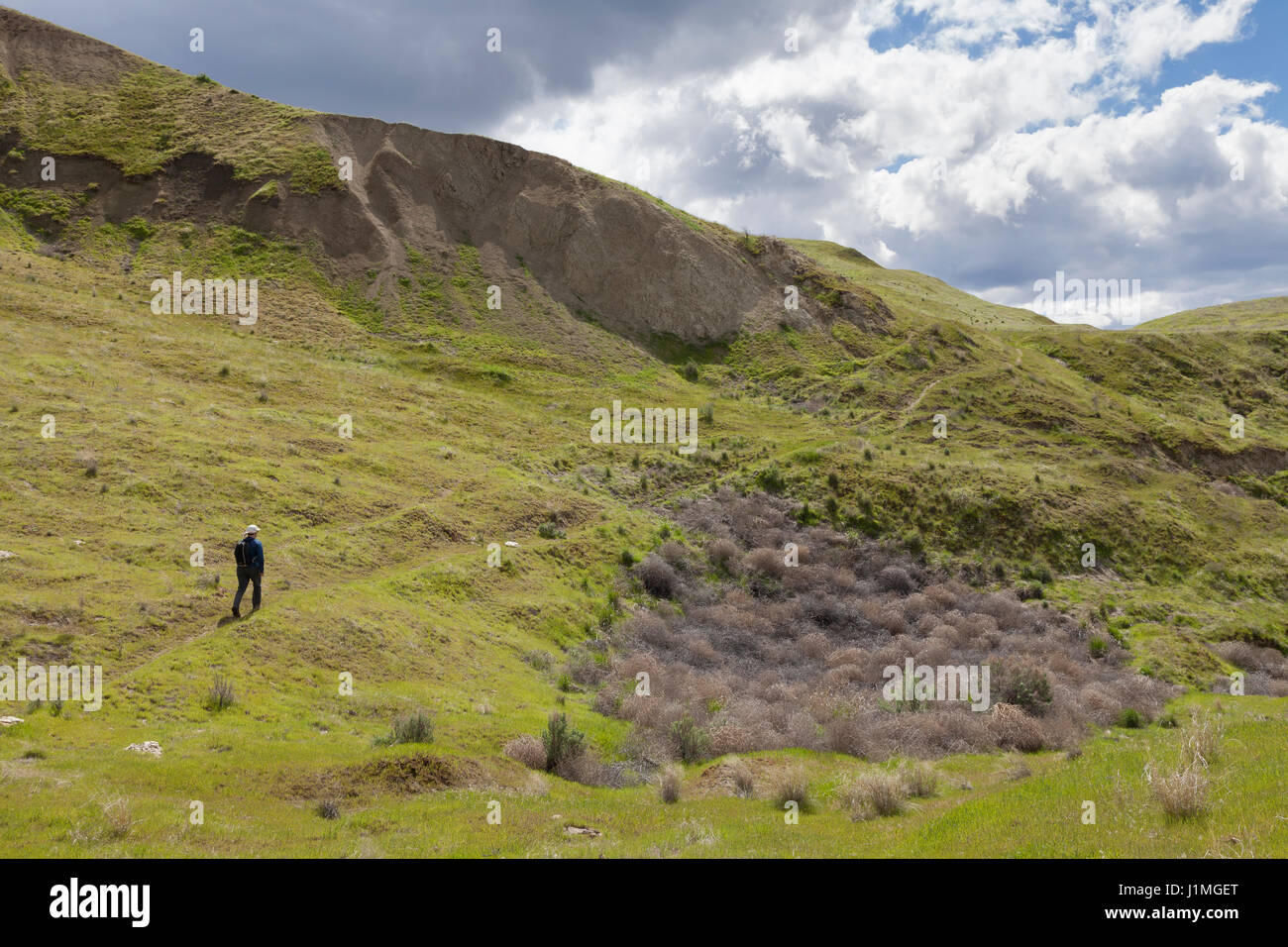 Franklin County, Washington: the White Bluffs at Hanford Reach National ...