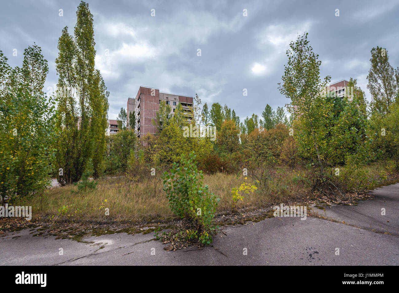 The Zone Of Alienation