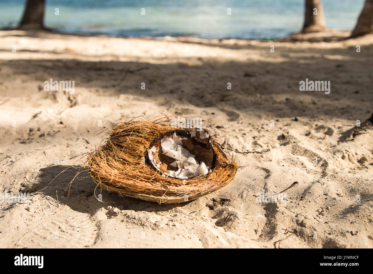 open coconut on the beach Stock Photo - Alamy