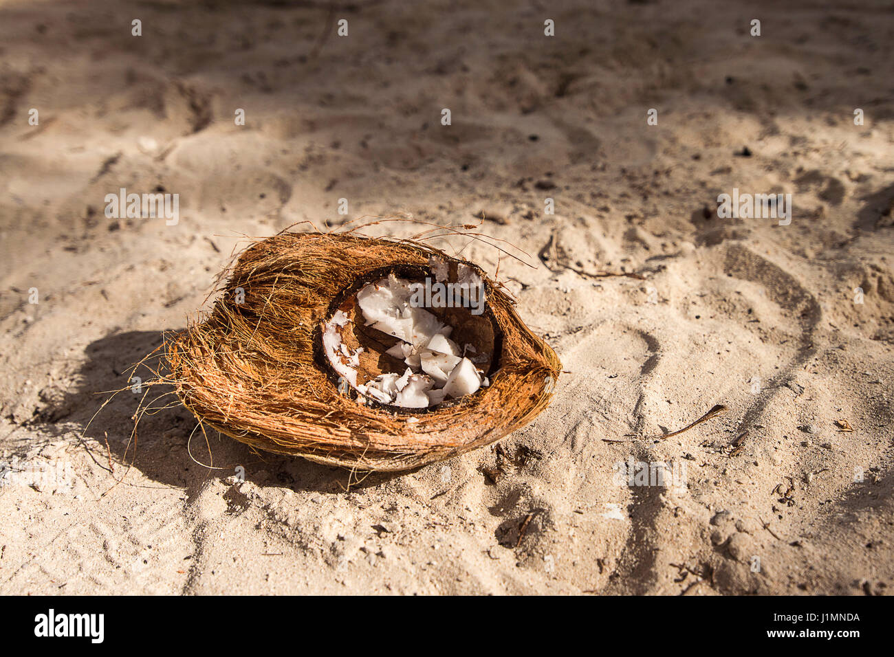 open coconut on the beach Stock Photo - Alamy