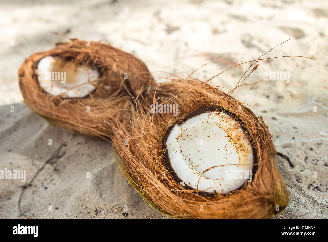 open coconut on the beach Stock Photo - Alamy