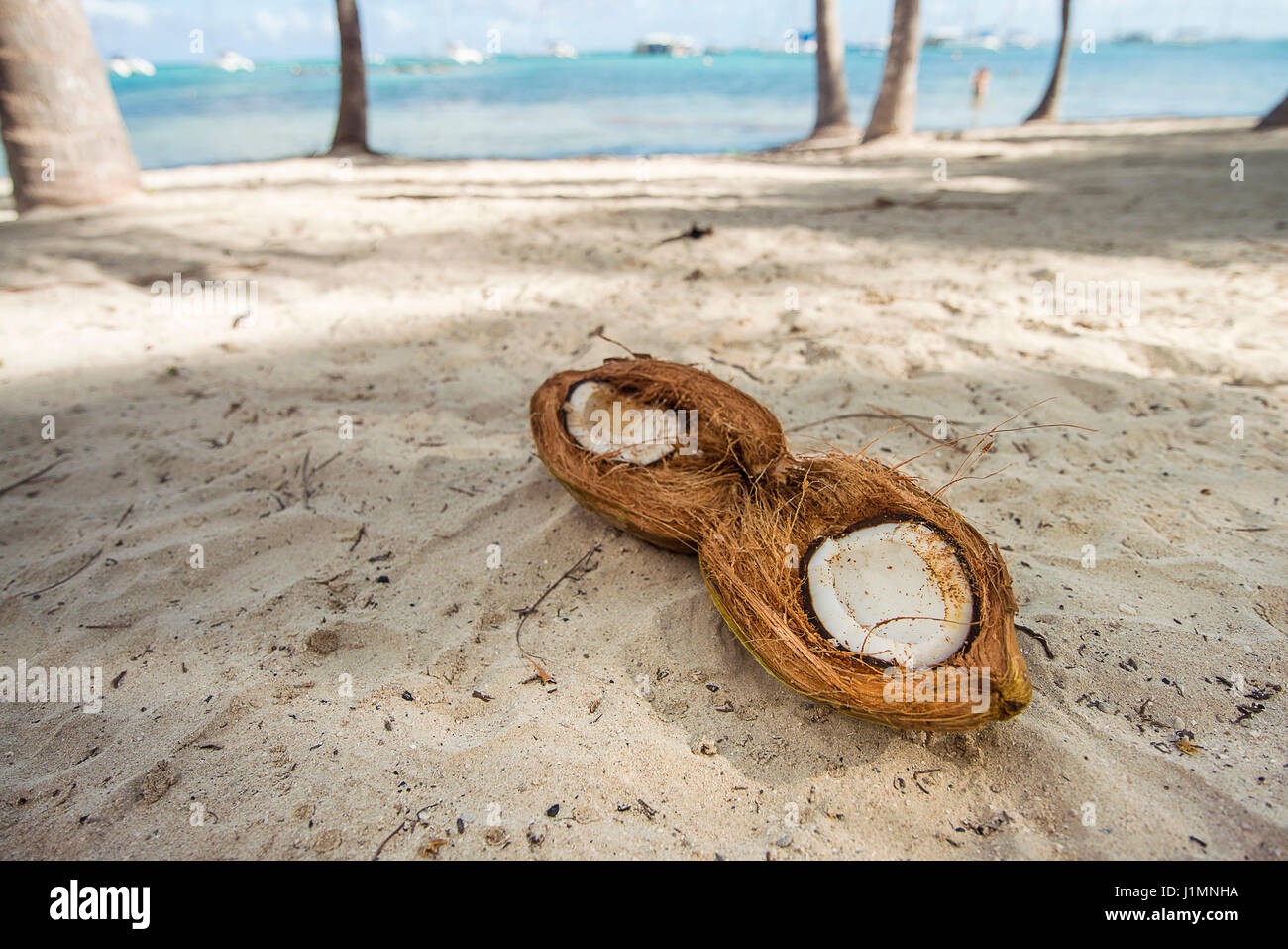 open coconut on the beach Stock Photo - Alamy