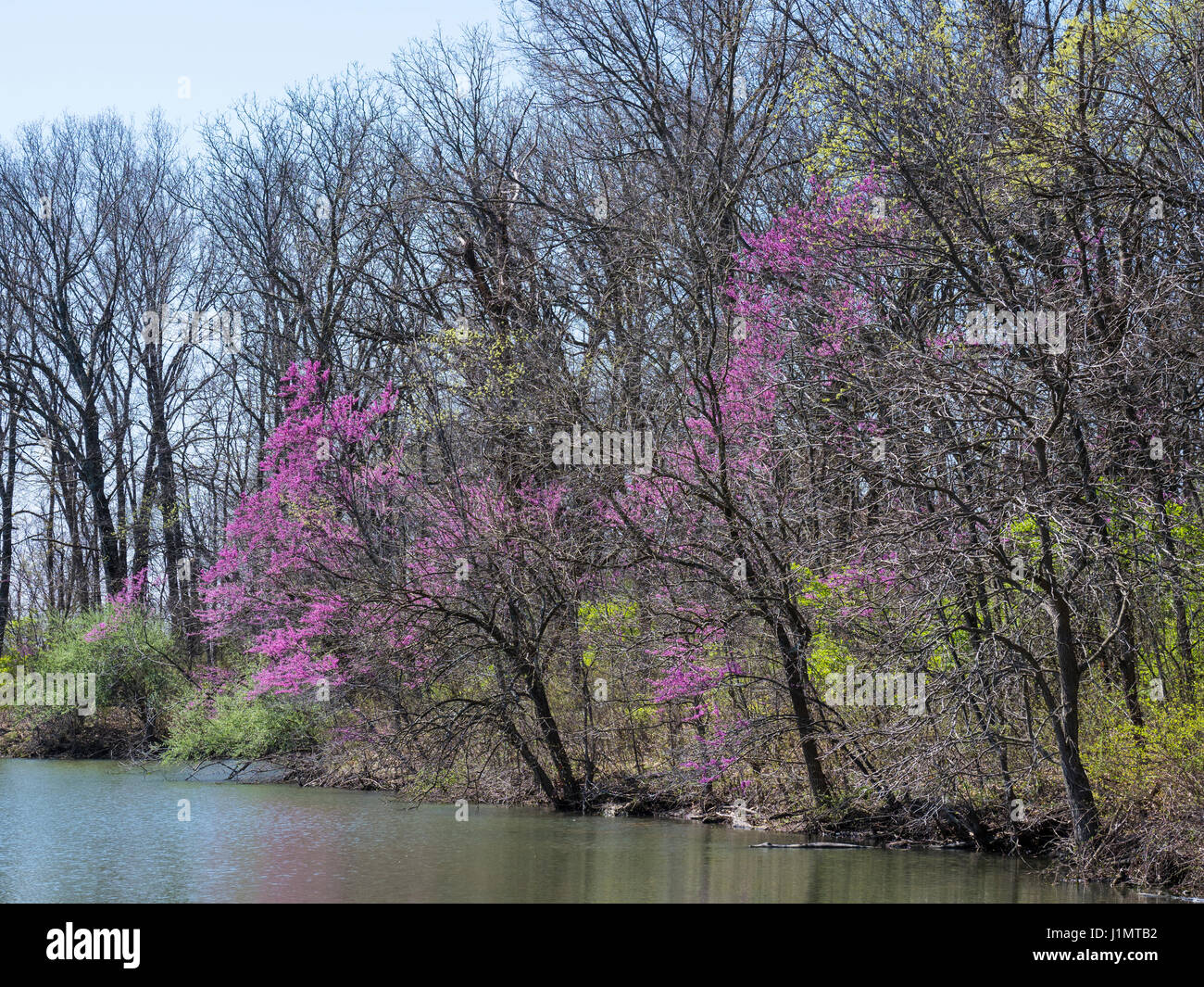 Trail around the lake, Watkins Mill State Park, Missouri Stock Photo ...