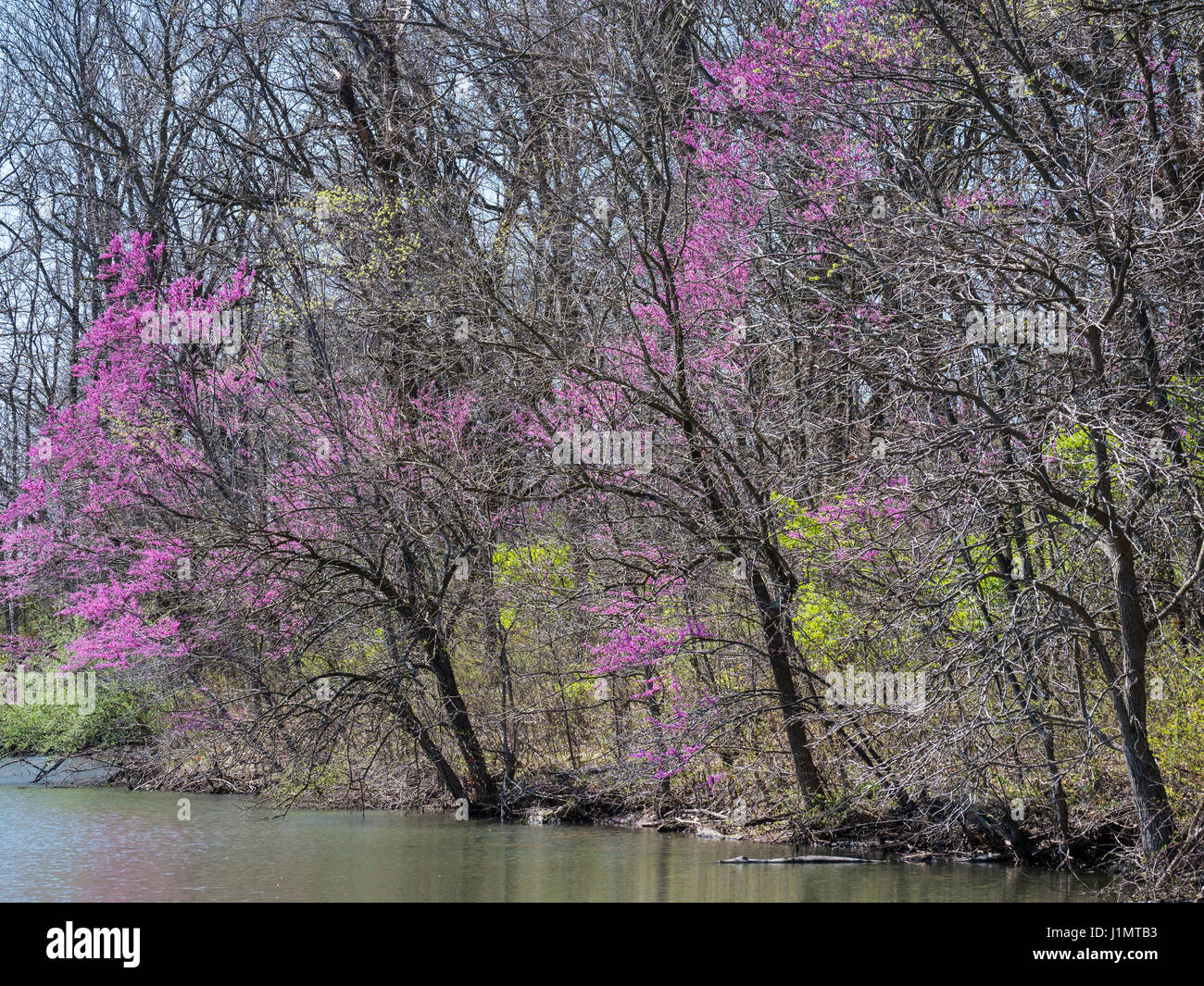 Trail around the lake, Watkins Mill State Park, Missouri Stock Photo ...