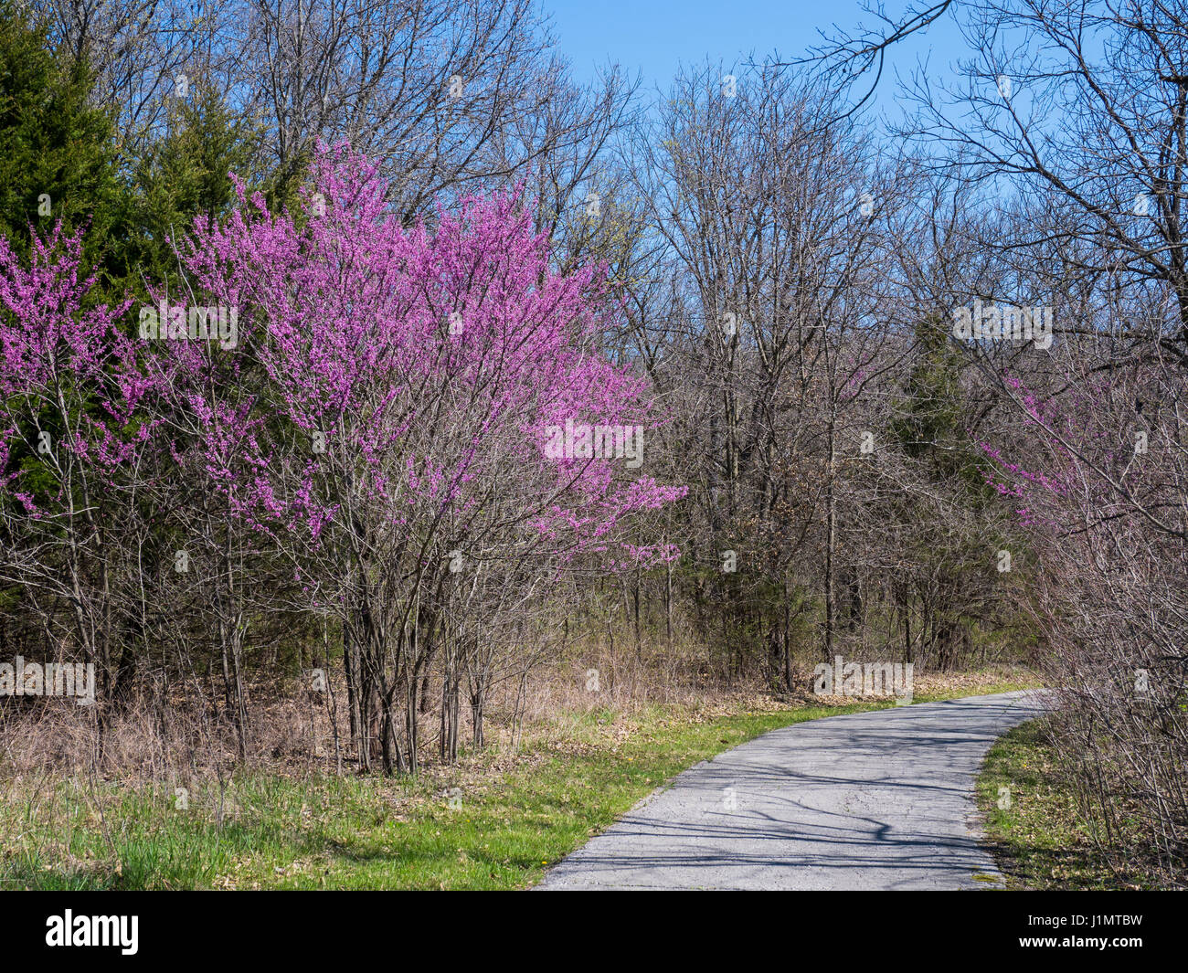 Watkins lake state park hi-res stock photography and images - Alamy