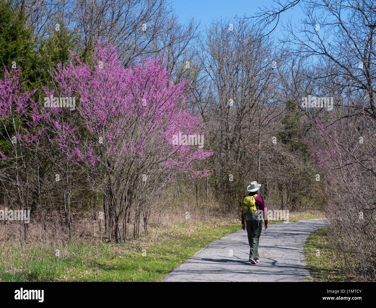Trail around the lake, Watkins Mill State Park, Missouri Stock Photo ...