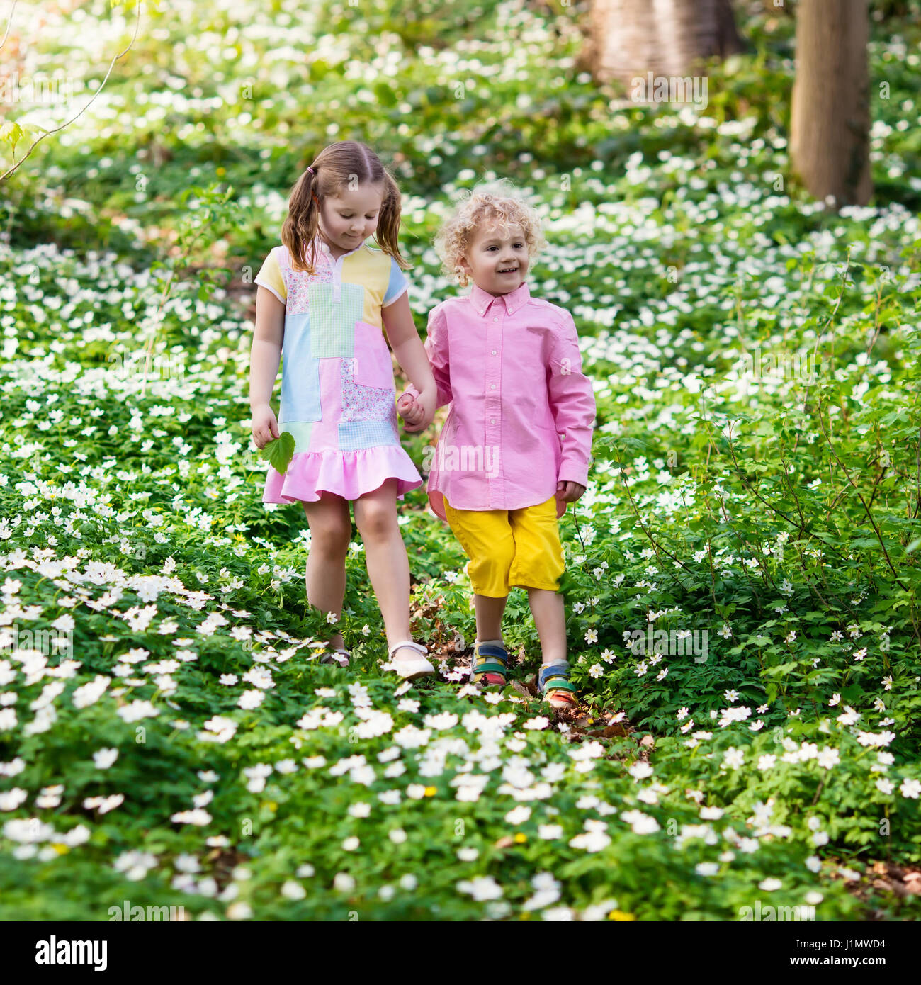 Cute little girl and boy playing in blooming spring park with first ...