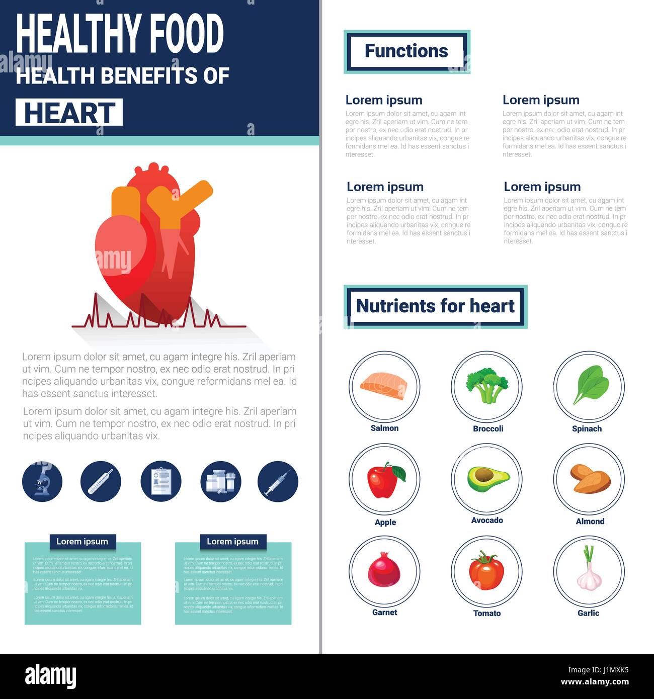 Healthy Food Infographics Products With Vitamins And Minerals, Health ...