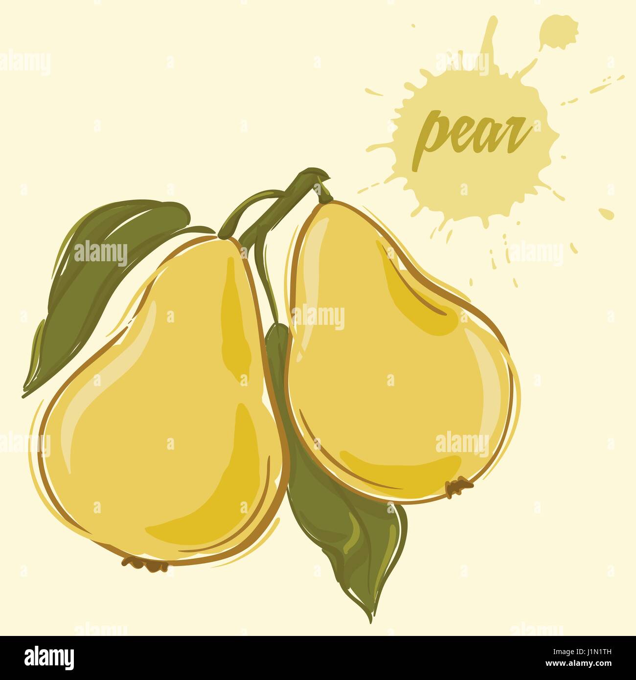 Watercolour hand draw illustration Stock Vector Images - Alamy