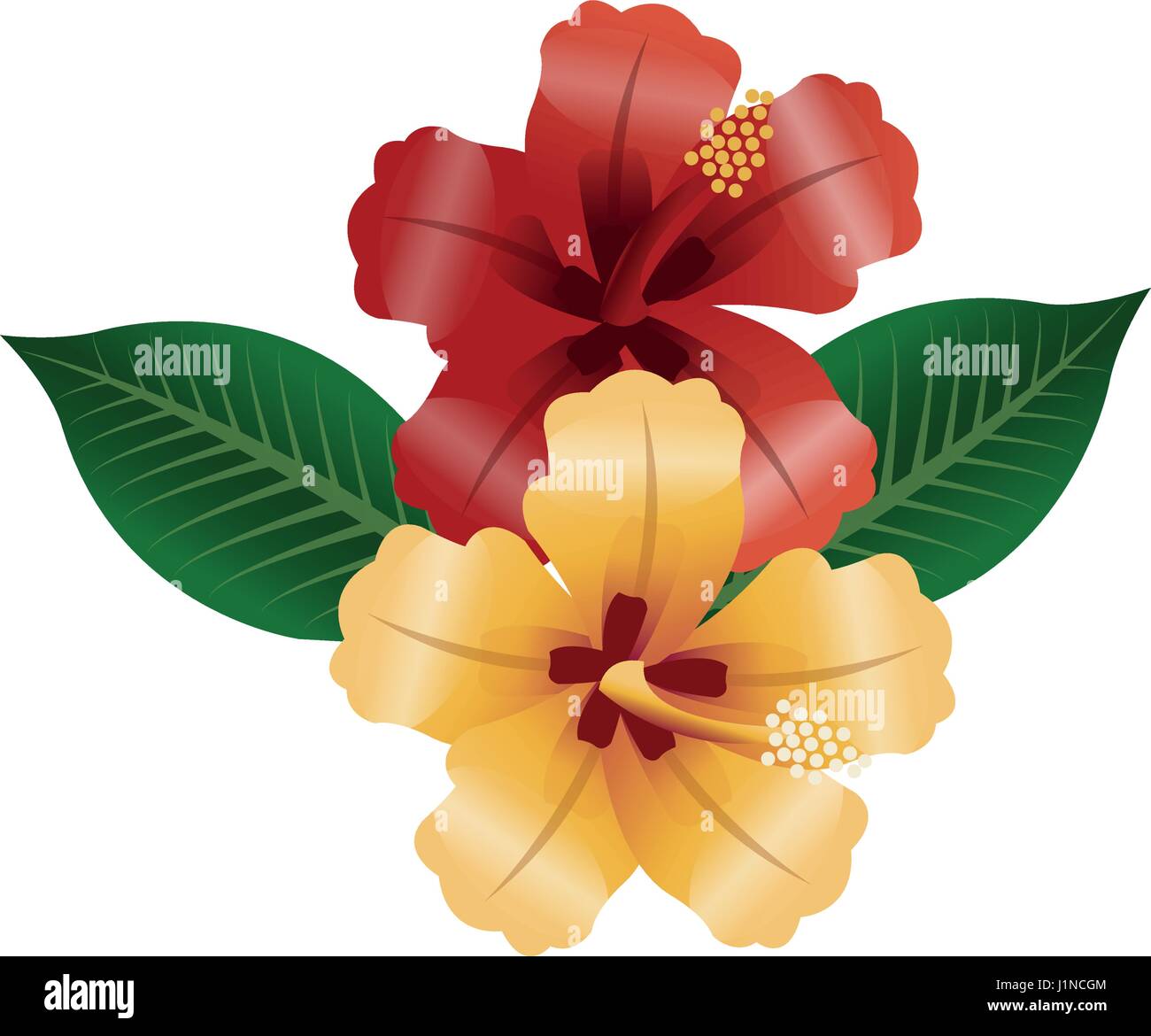 tropical flower icon Stock Vector Image & Art - Alamy