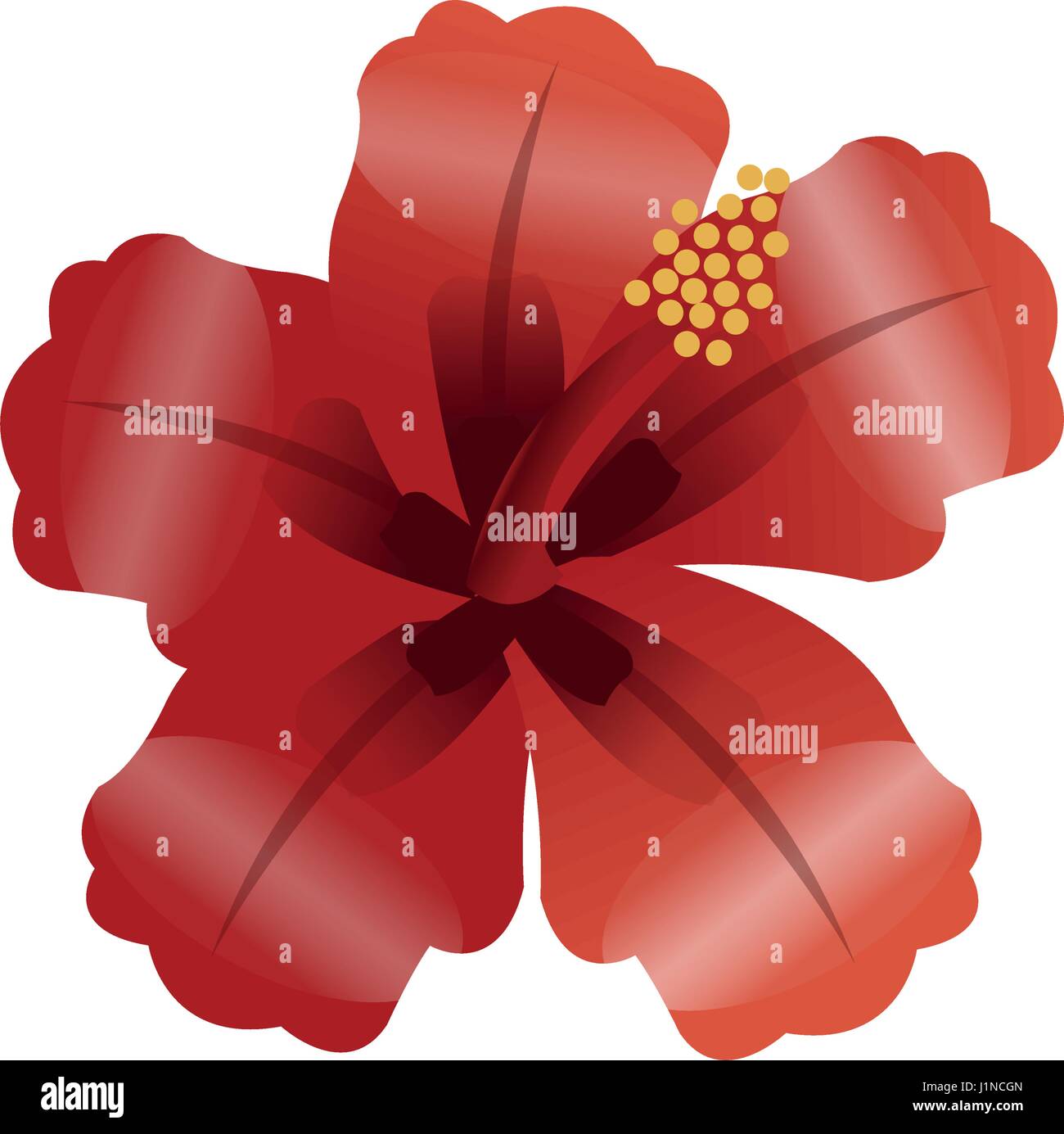 tropical flower icon Stock Vector Image & Art - Alamy