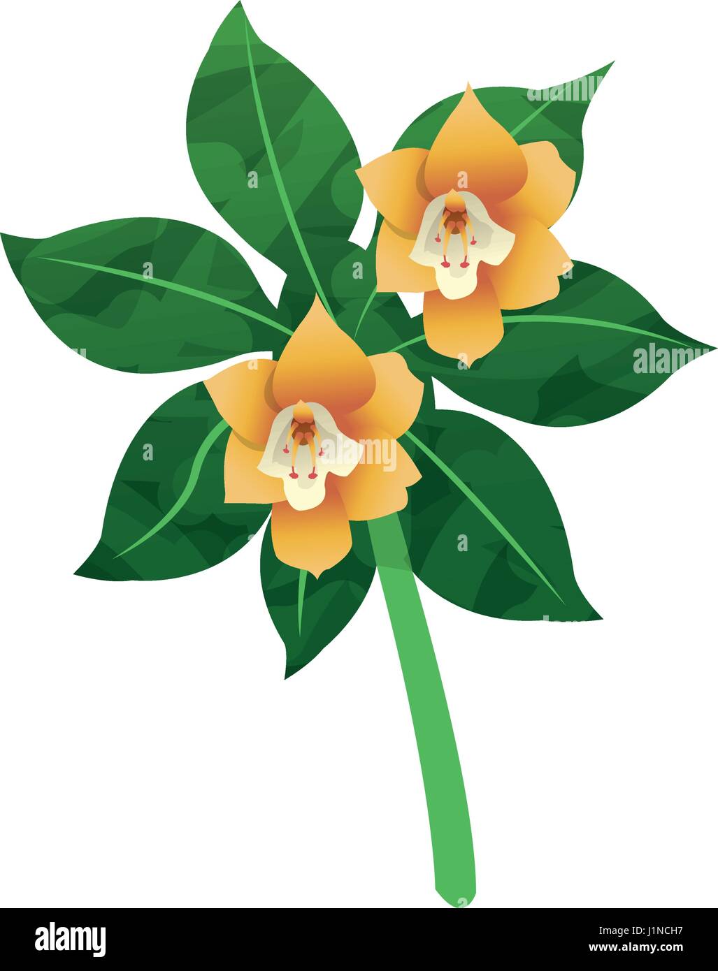 tropical flower icon Stock Vector Image & Art - Alamy