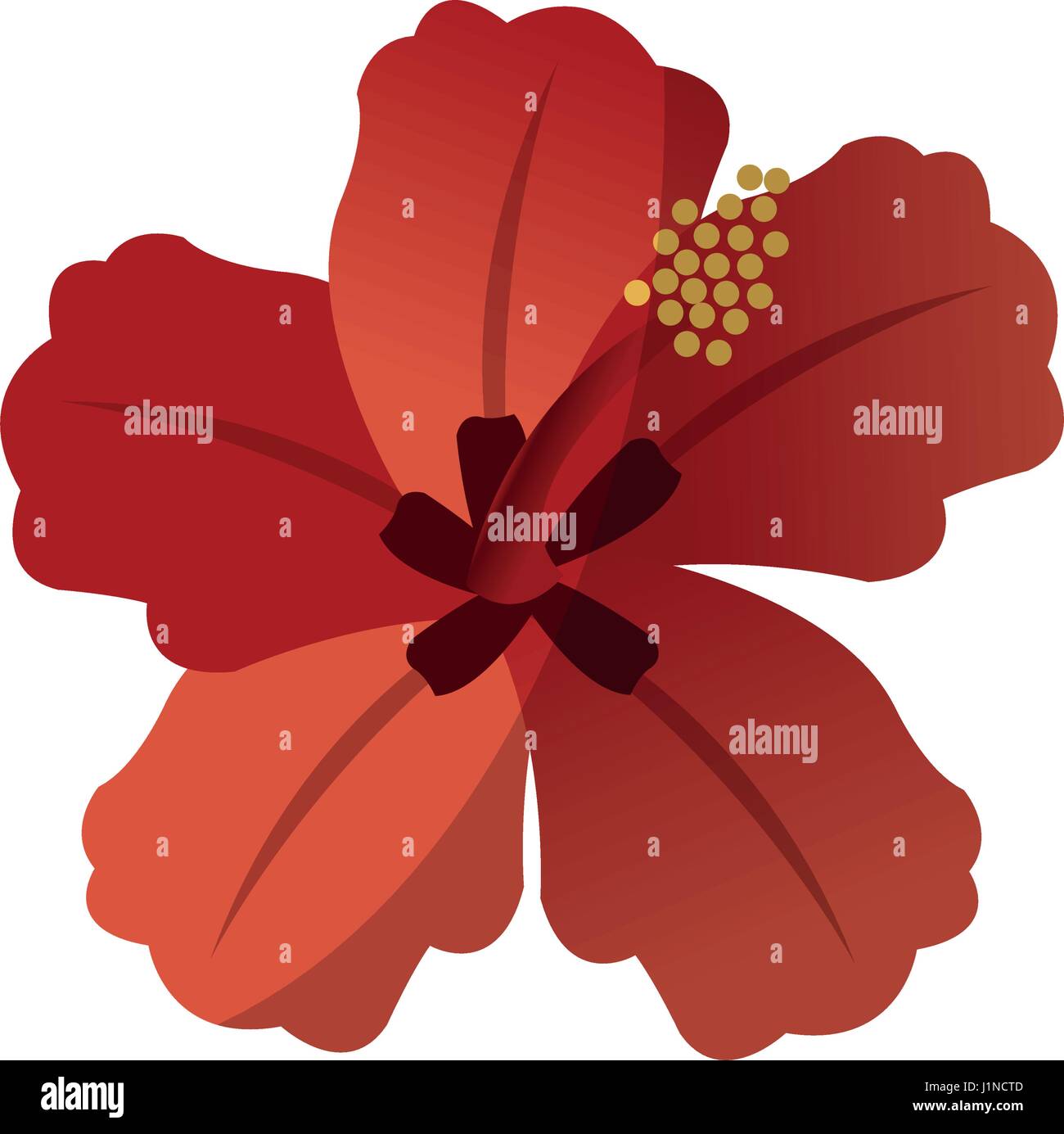 tropical flower icon Stock Vector Image & Art - Alamy