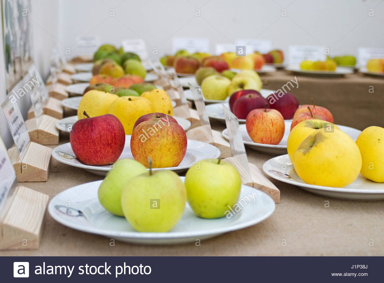 Apple Varieties Stock Photos & Apple Varieties Stock Images - Alamy