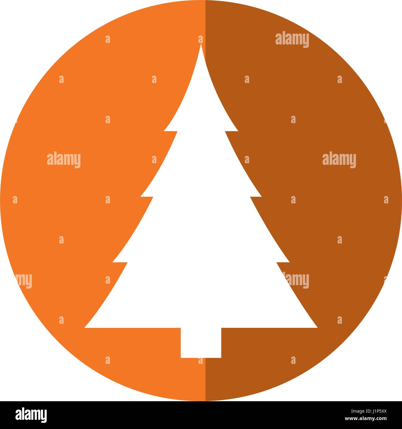 pine tree icon Stock Vector Image & Art - Alamy
