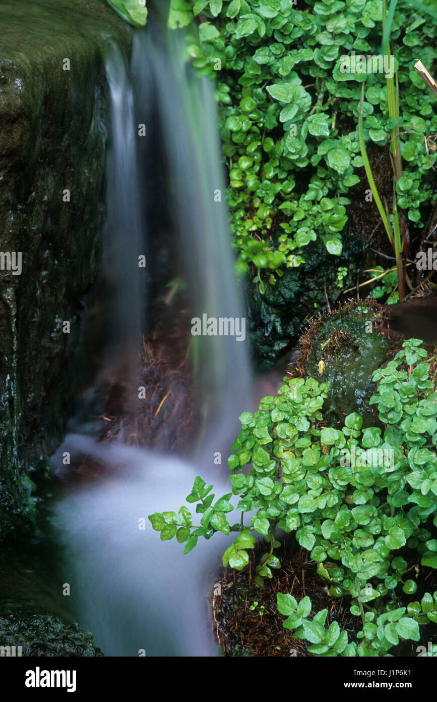 Darwin canyon hi-res stock photography and images - Alamy