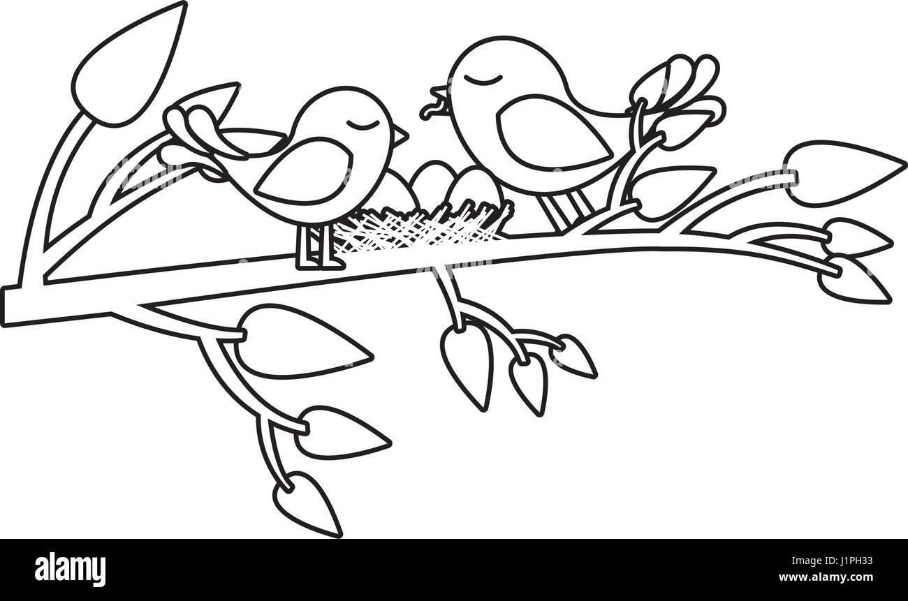 Bird On Branch Outline