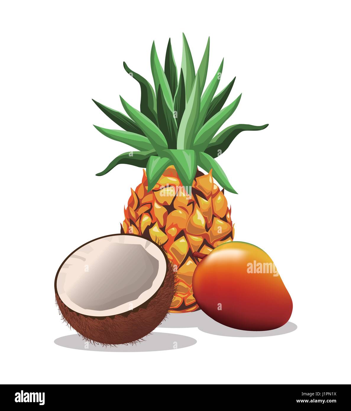 pineapple mango and coconut fruit fresh harvest Stock Vector Image ...