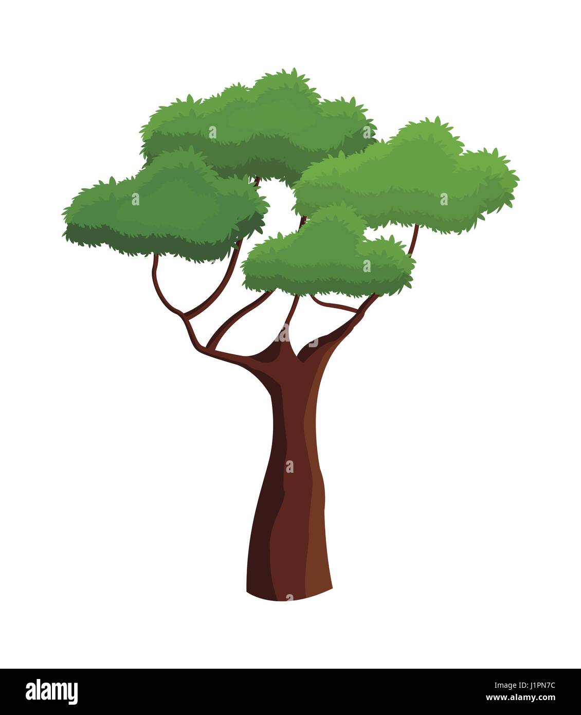 tree plant natural ecology branched Stock Vector Image & Art - Alamy