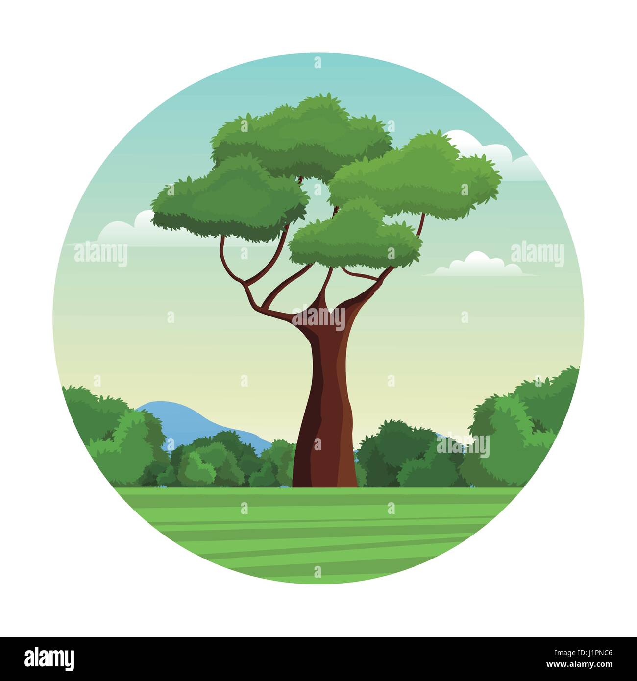 tree branch bushes forest landscape design Stock Vector Image & Art - Alamy