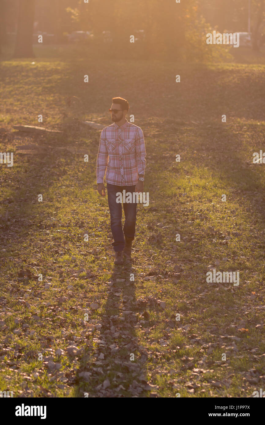 Young adult man walking in park. Sunset, sunlight, sunrays, light rays ...