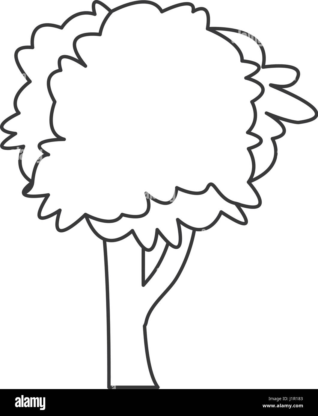 tree natural foliage image outline Stock Vector Image & Art - Alamy
