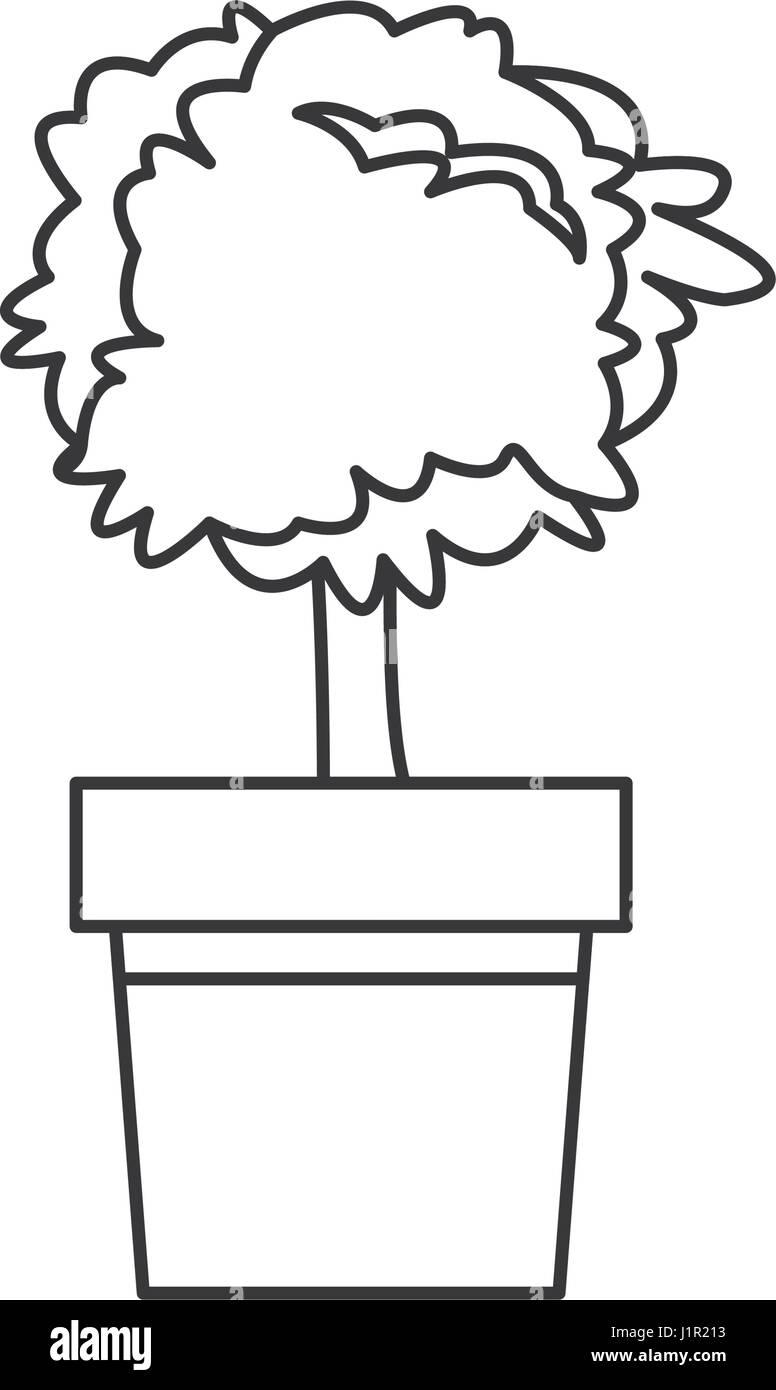tree pot plant nature decoration outline Stock Vector Image & Art - Alamy