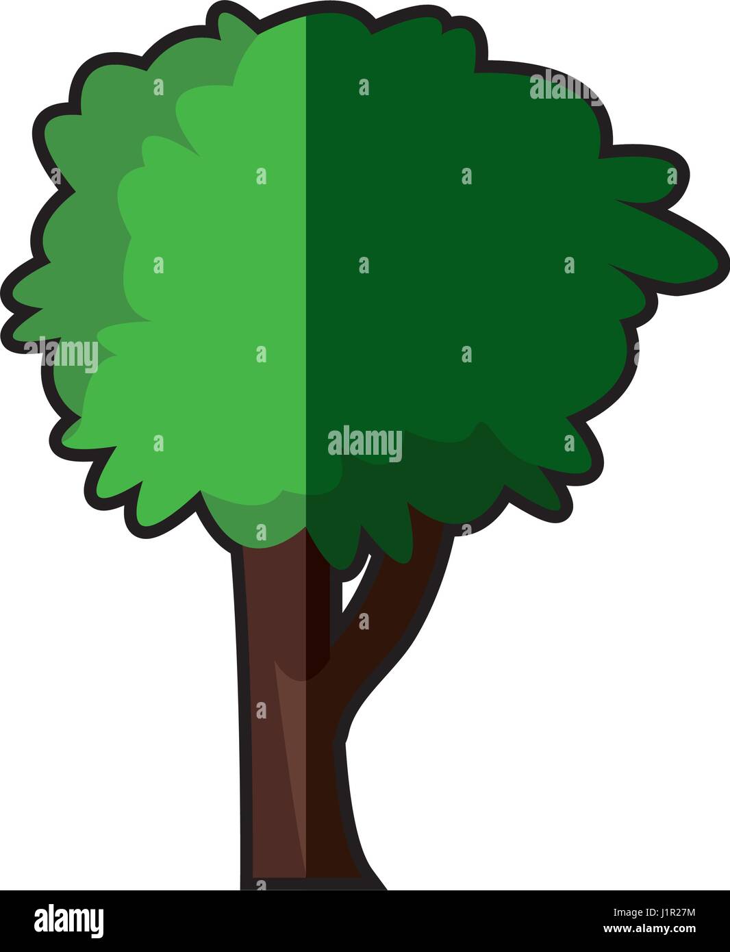 tree plant nature ecology shadow Stock Vector Image & Art - Alamy