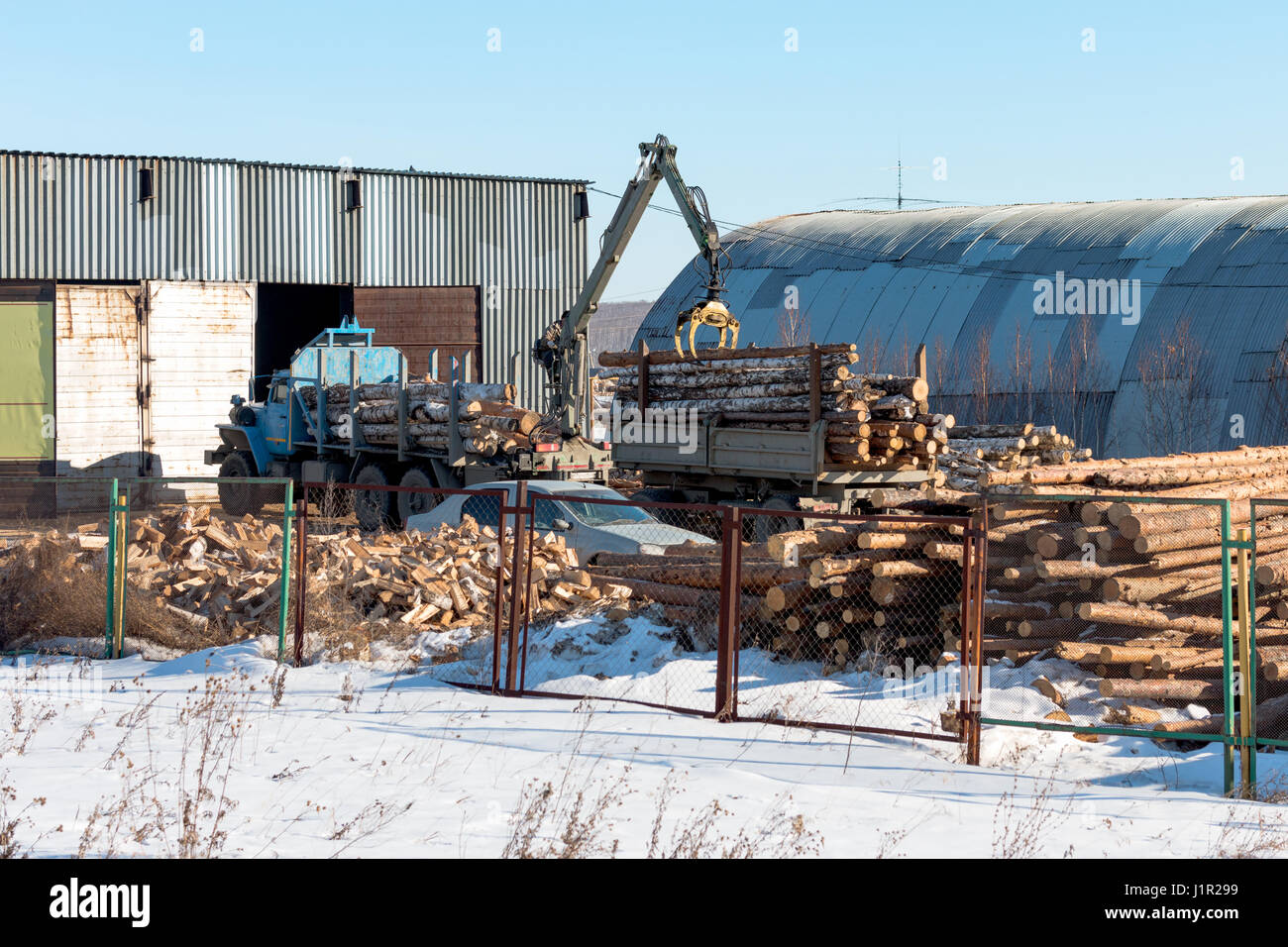 Loader loads logs into a timber truck in the warehouse Stock Photo - Alamy