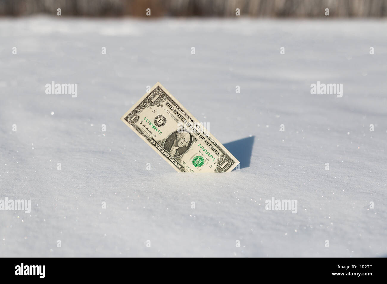 hundred dollars stuck in the white snow on the nature Stock Photo - Alamy