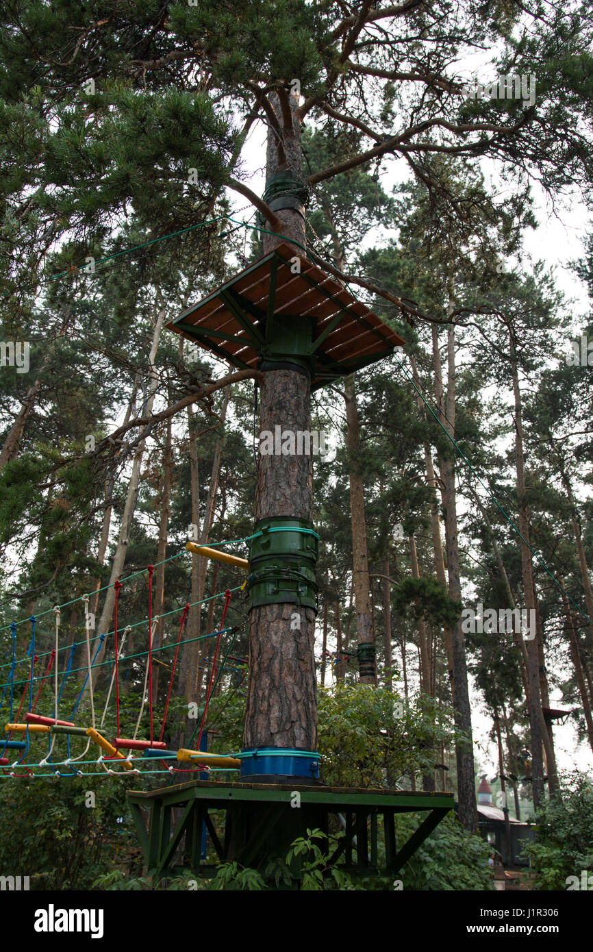 obstacle course on the trees in a park Stock Photo - Alamy