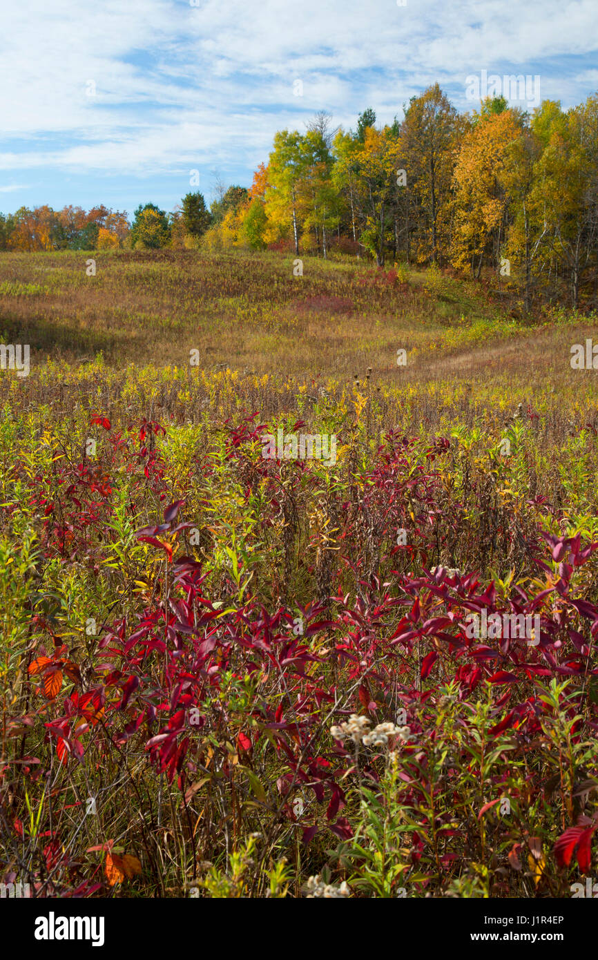 Vole hill hi-res stock photography and images - Alamy