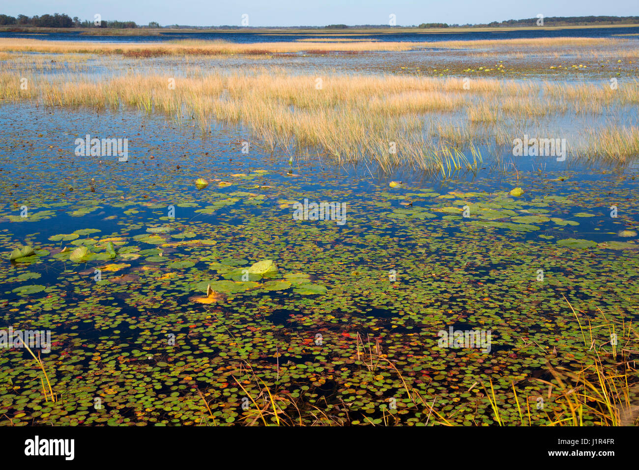Phantom Lake, Crex Meadows Wildlife Area, Wisconsin Stock Photo - Alamy