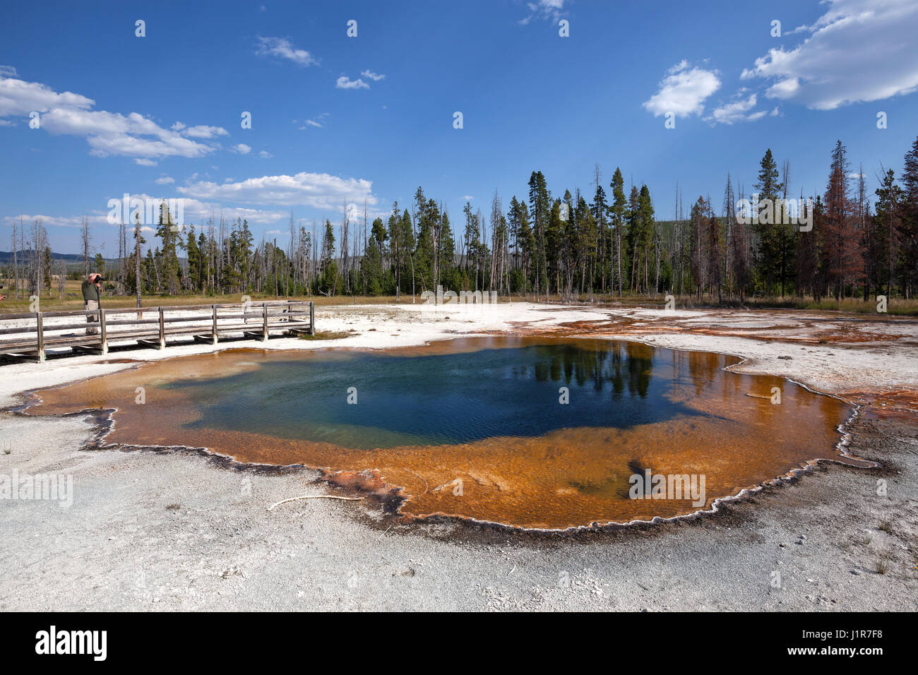 Emerald Pool, Norris Geyser Basin, Yellowstone National Park, Wyoming ...