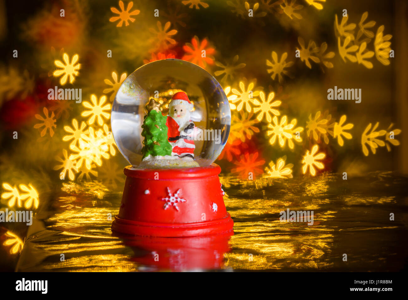 Santa claus flower hi-res stock photography and images - Alamy