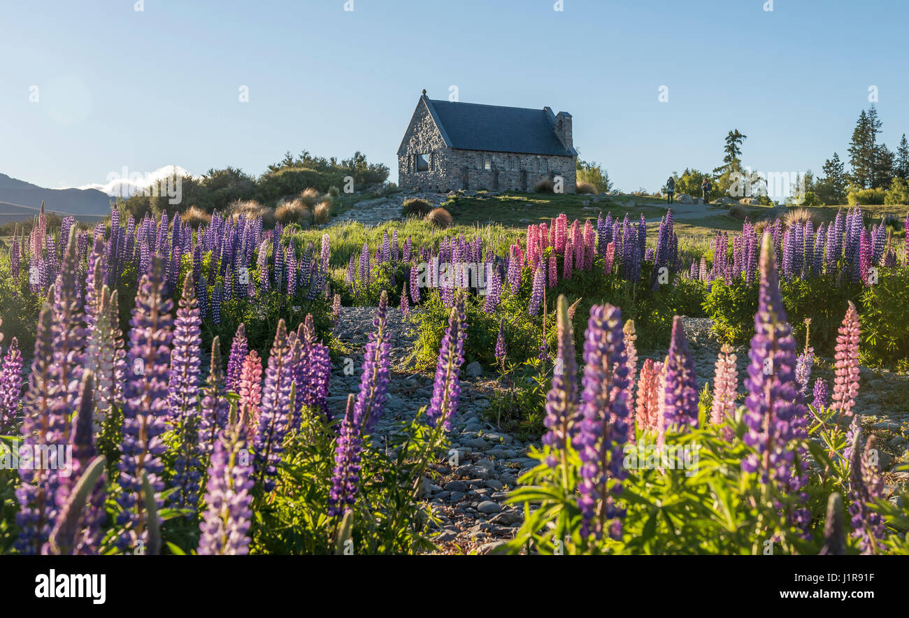 Lila church hi-res stock photography and images - Alamy