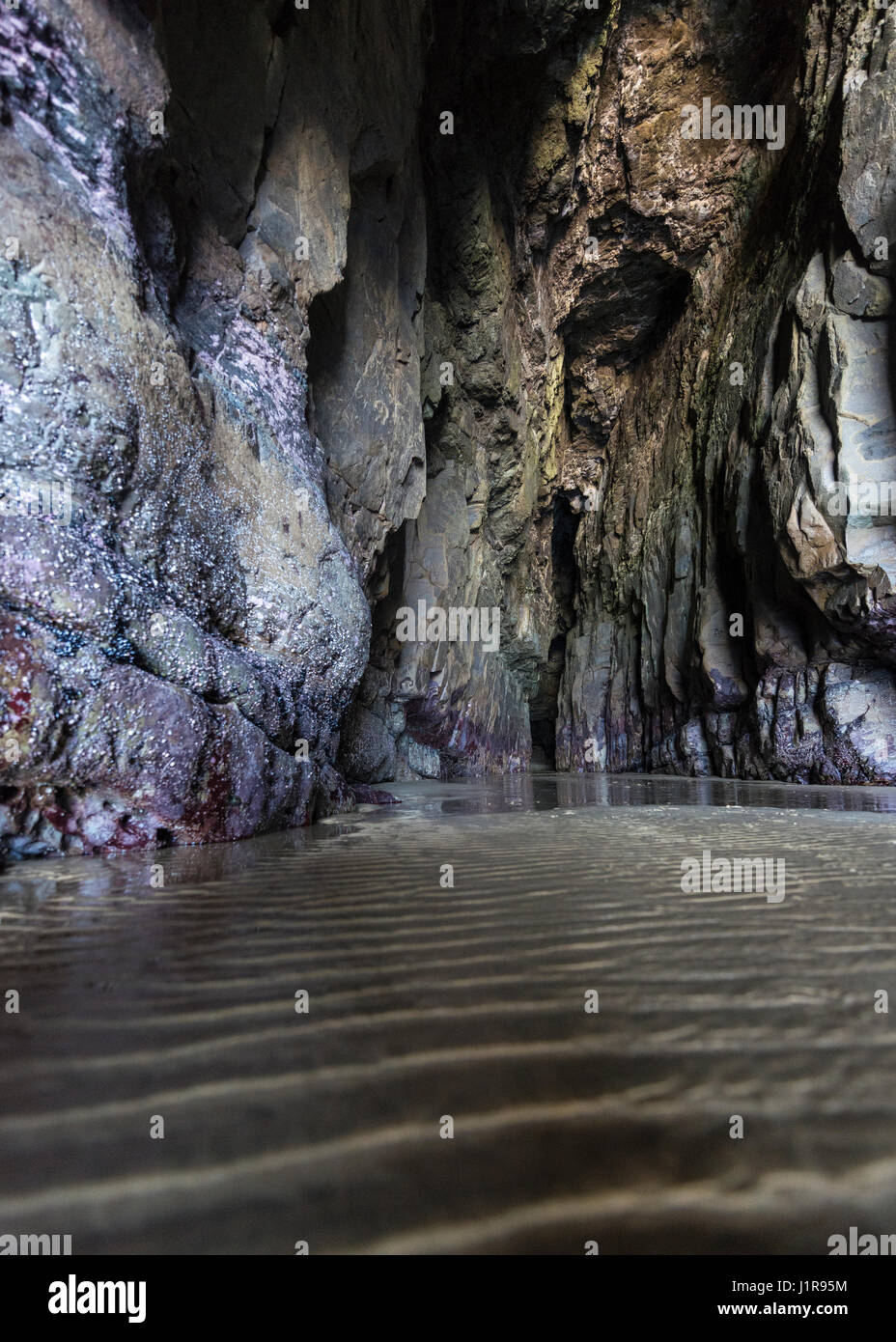 Caves eroded by the sea, Cathedral Caves, Waipati Beach, The Catlins ...