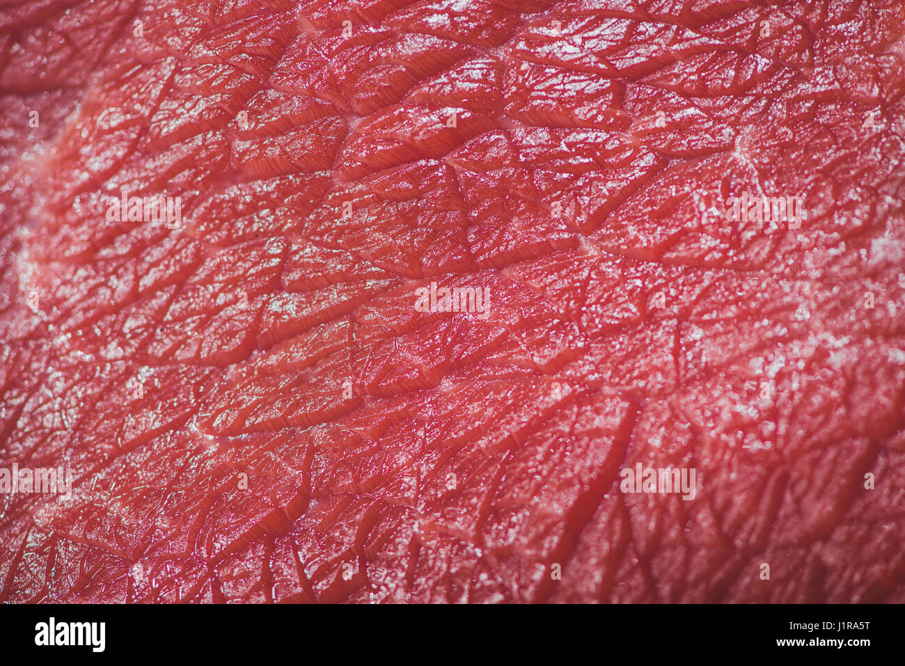 Beef texture hi-res stock photography and images - Alamy