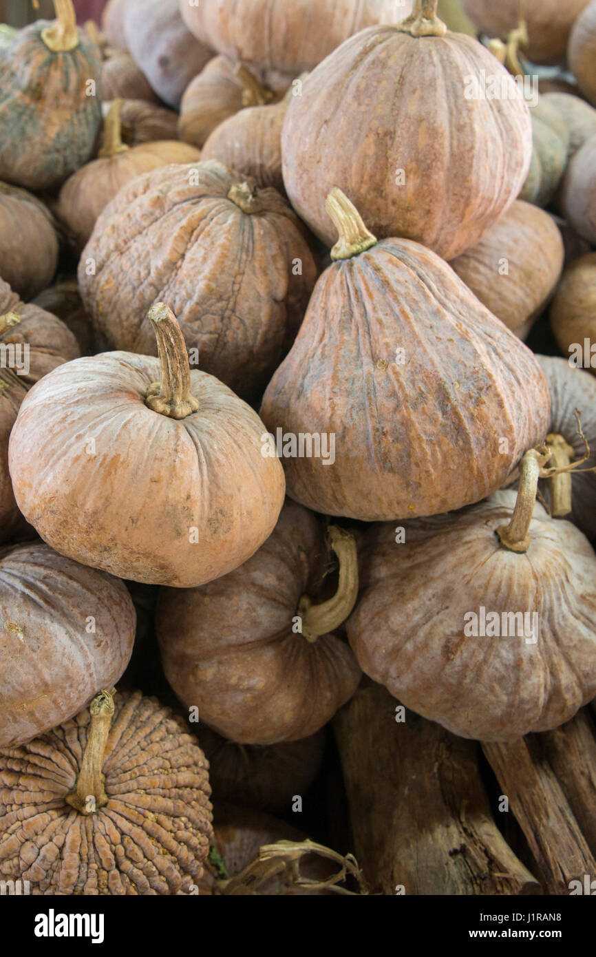 the market in the town of Phonsavan in the province Xieng Khuang in ...