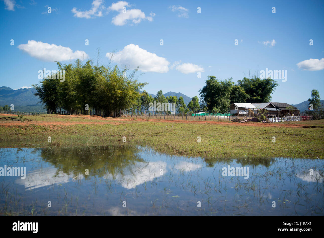the landscape near the town of Phonsavan in the province Xieng Khuang ...