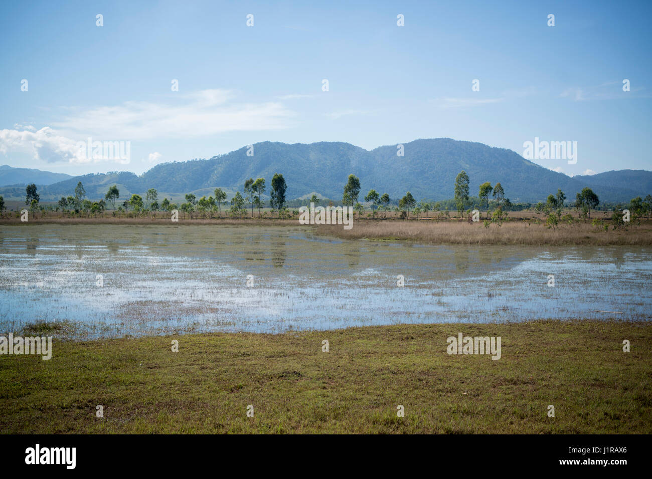 the landscape near the town of Phonsavan in the province Xieng Khuang ...