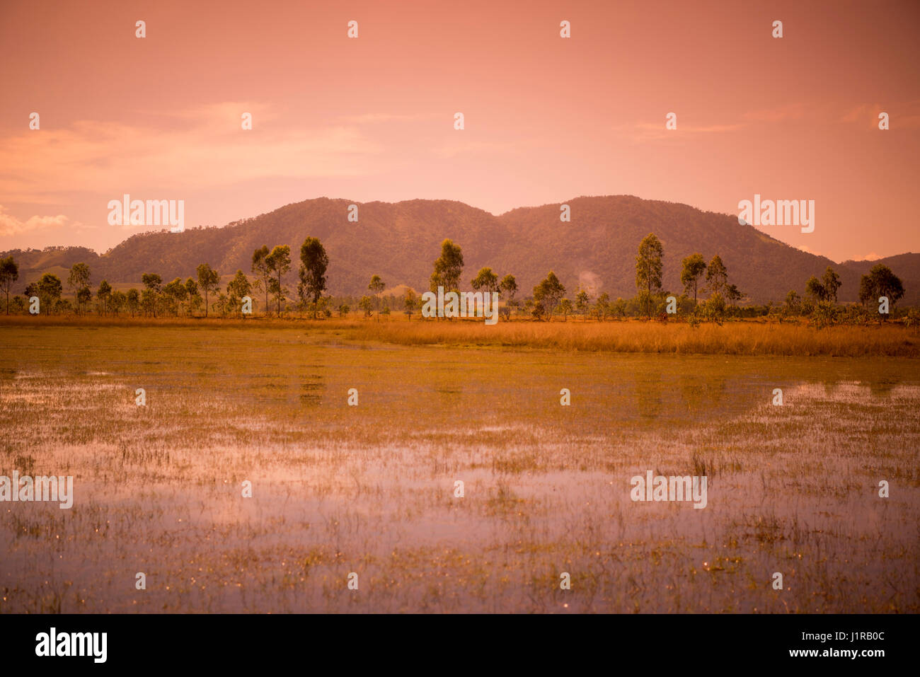 the landscape near the town of Phonsavan in the province Xieng Khuang ...
