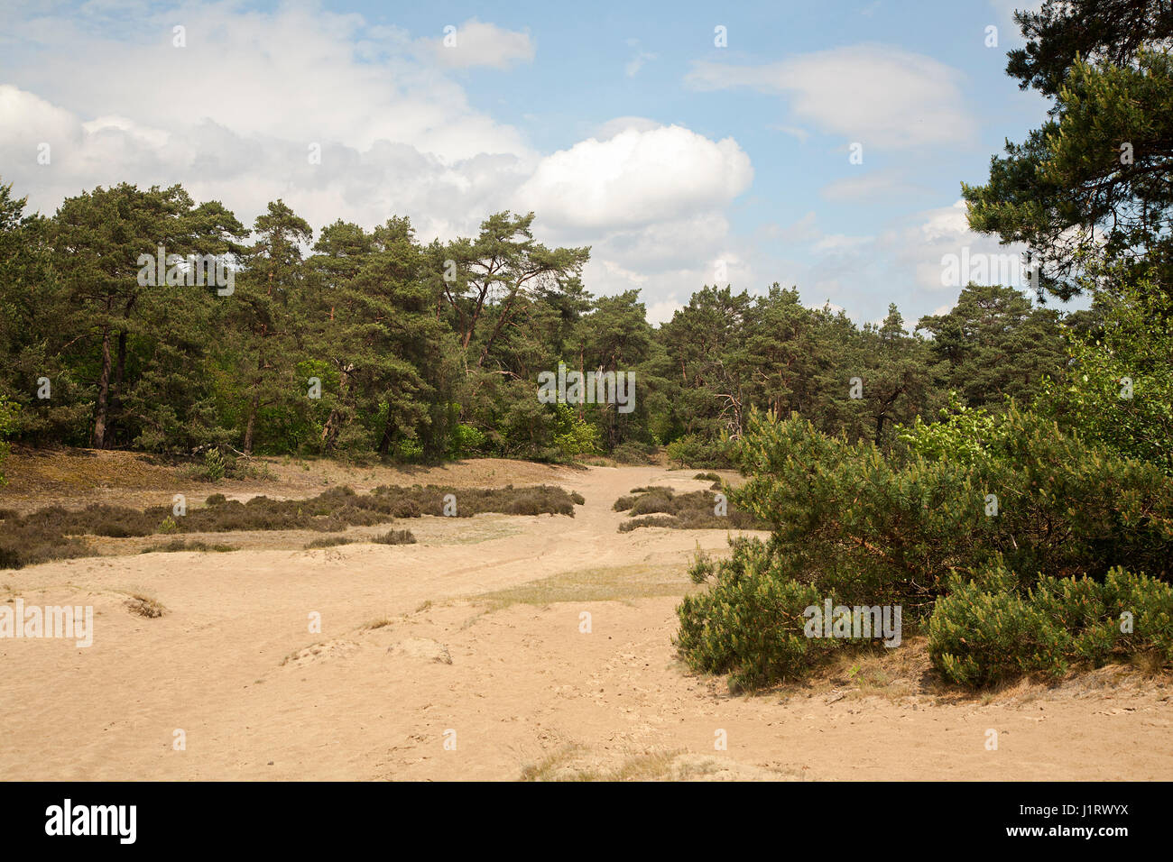 Heather sand hi-res stock photography and images - Alamy