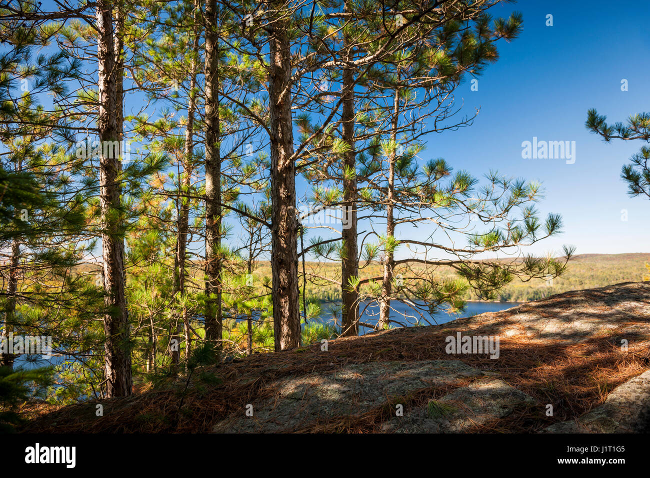 Pine trees growing on high rock cliff facing blue lake basking in ...
