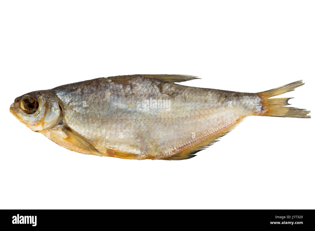 Many fish background Cut Out Stock Images & Pictures - Alamy