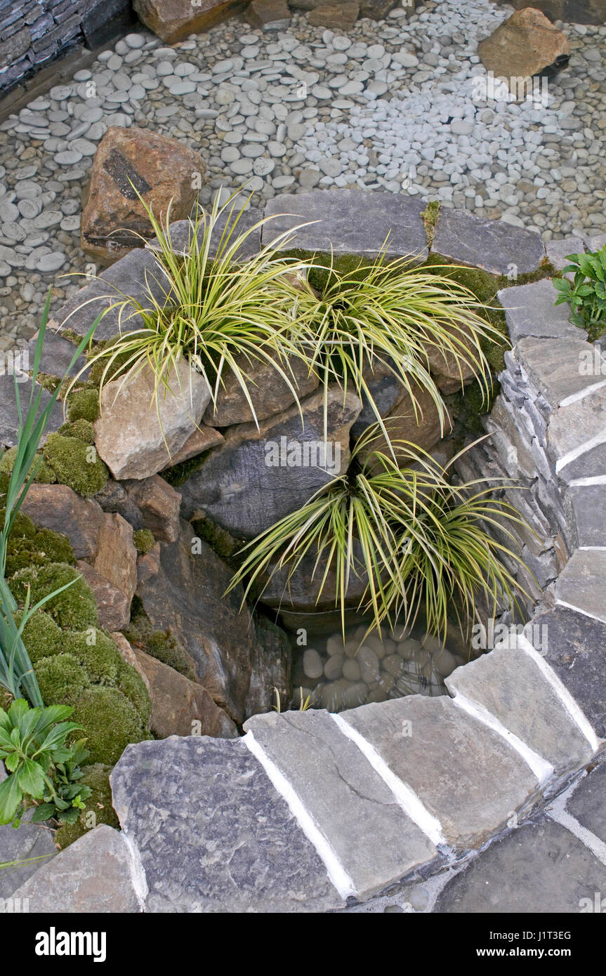 Ornamental gresses in a stone setting Stock Photo - Alamy