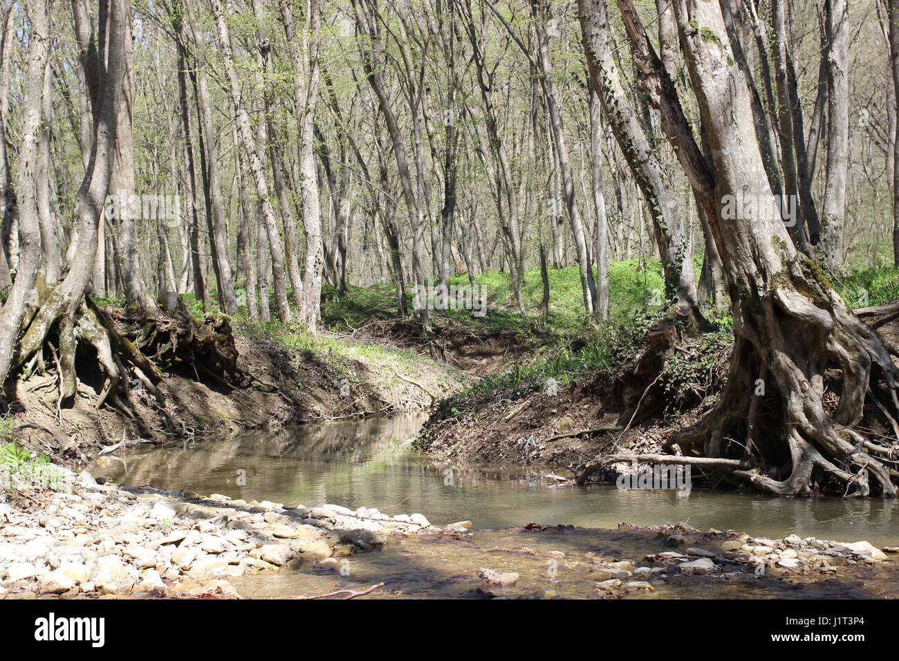 Quiet stream hi-res stock photography and images - Alamy