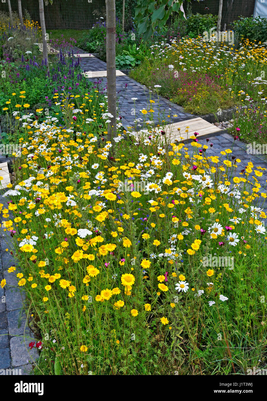 An urban orchard garden created with apple trees and wild flowers to ...