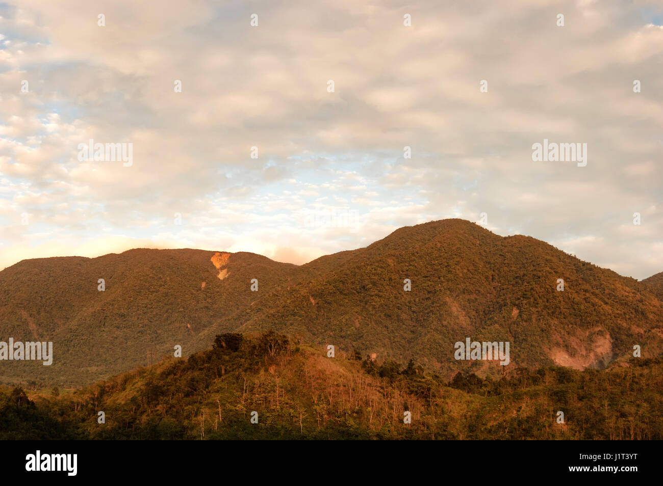 Forest cleared for agriculture in Benguet Province, Luzon, Philippines ...
