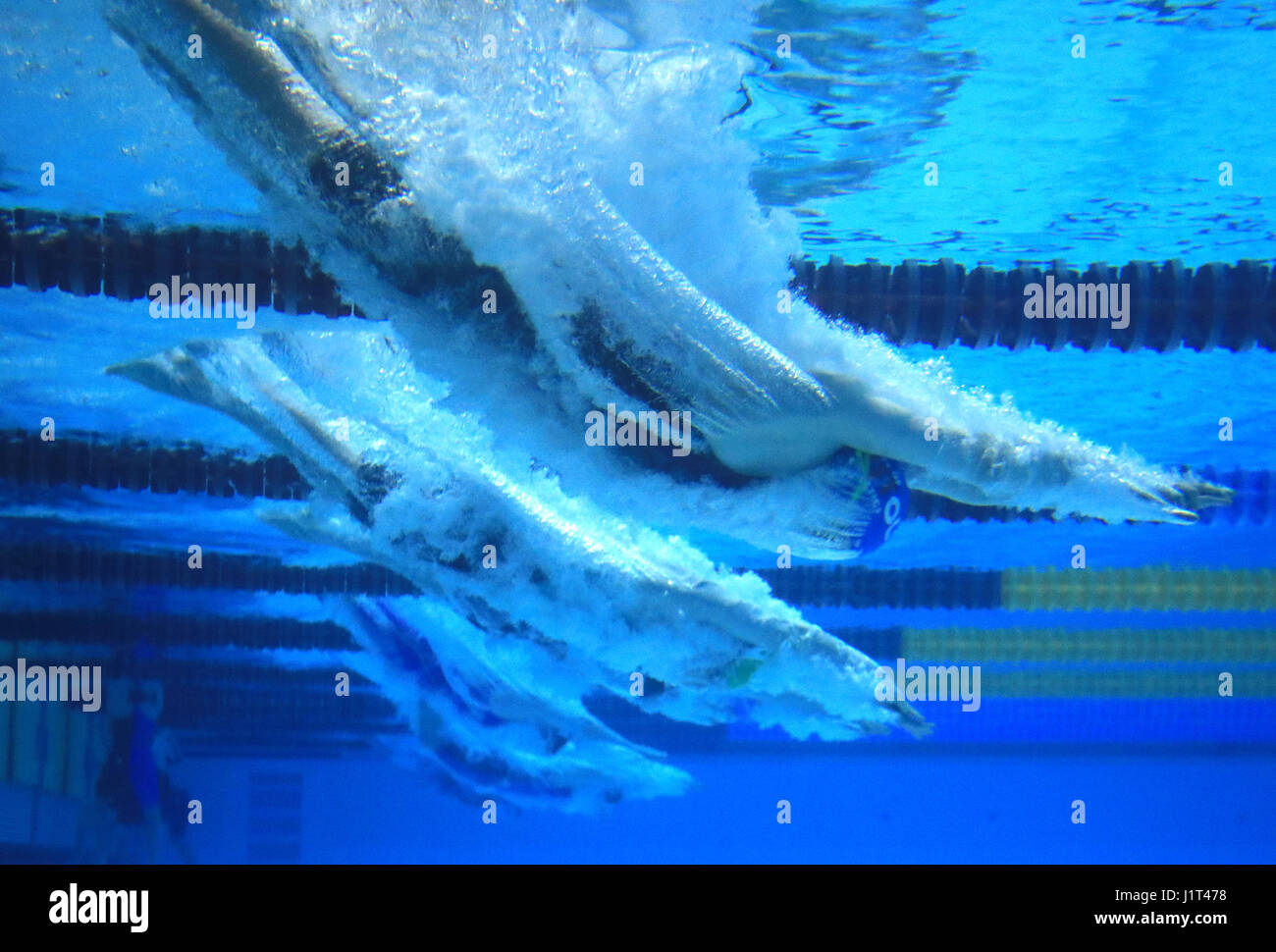 Competitors dive into the pool for the Women's Open 400m Freestyle ...